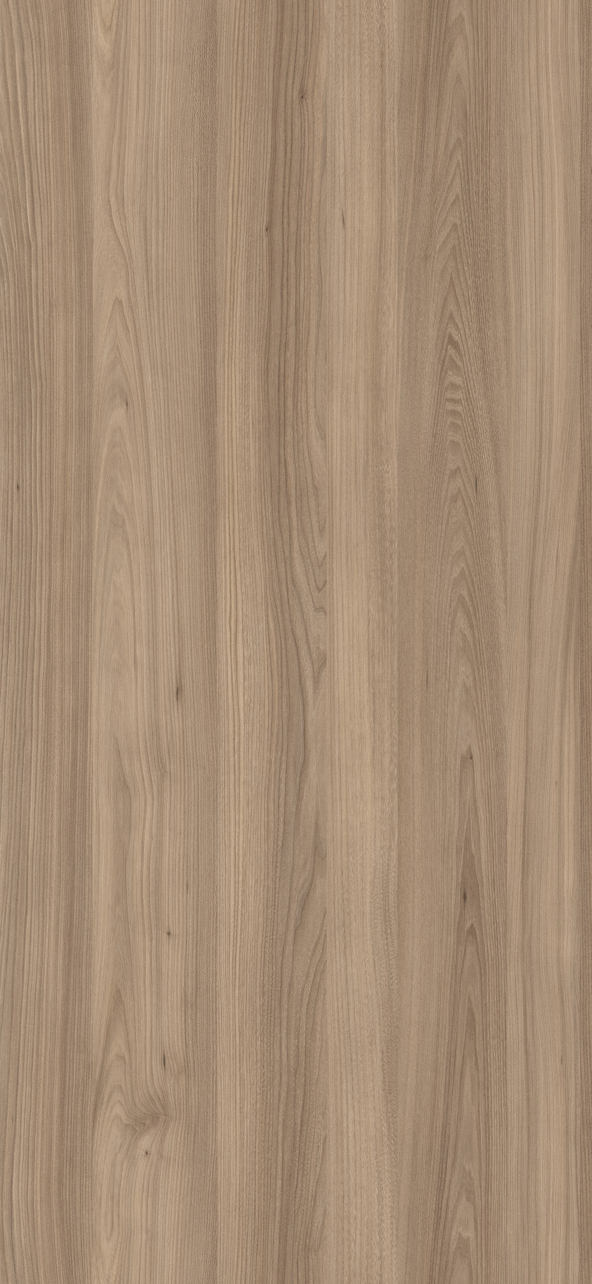 MODUS Film - Interprint