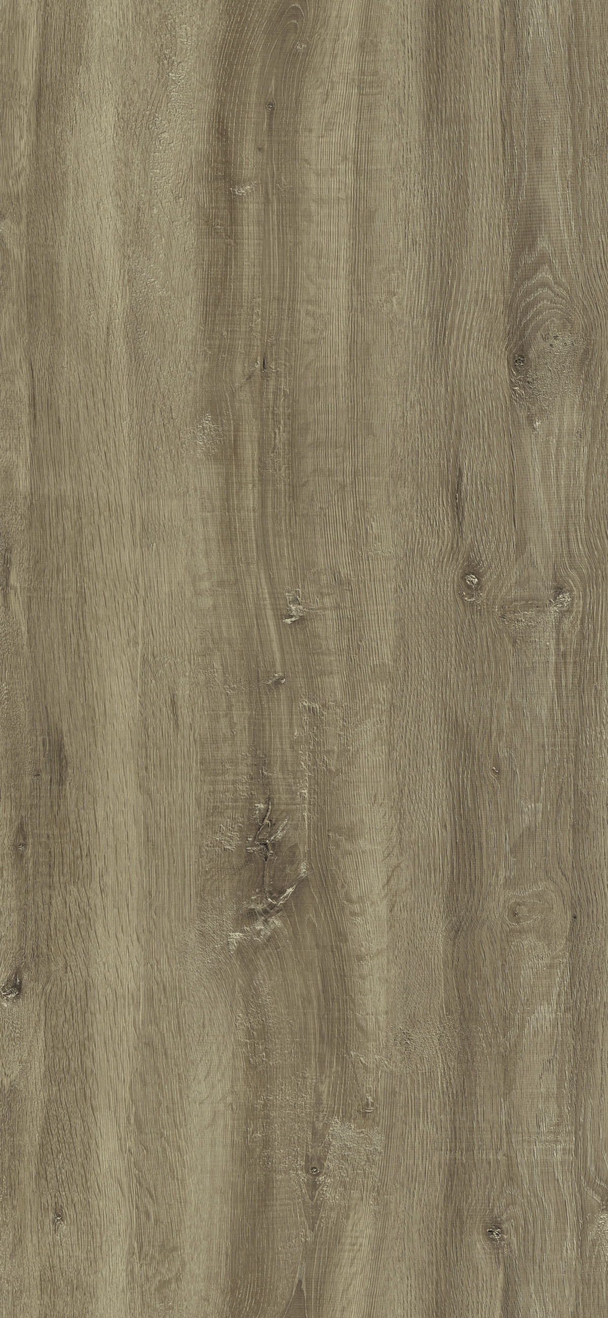 North Grove Oak Allover - Interprint