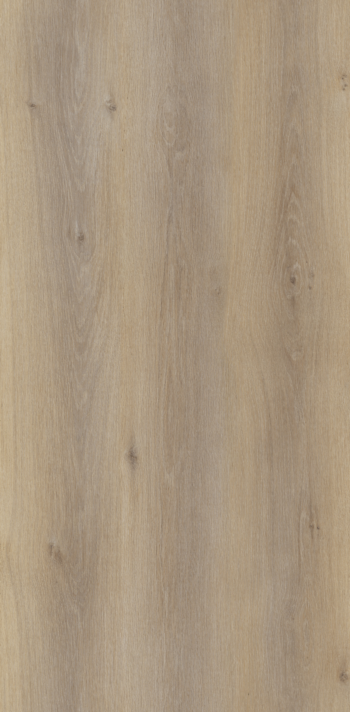 Smooth Oak Allover - Interprint