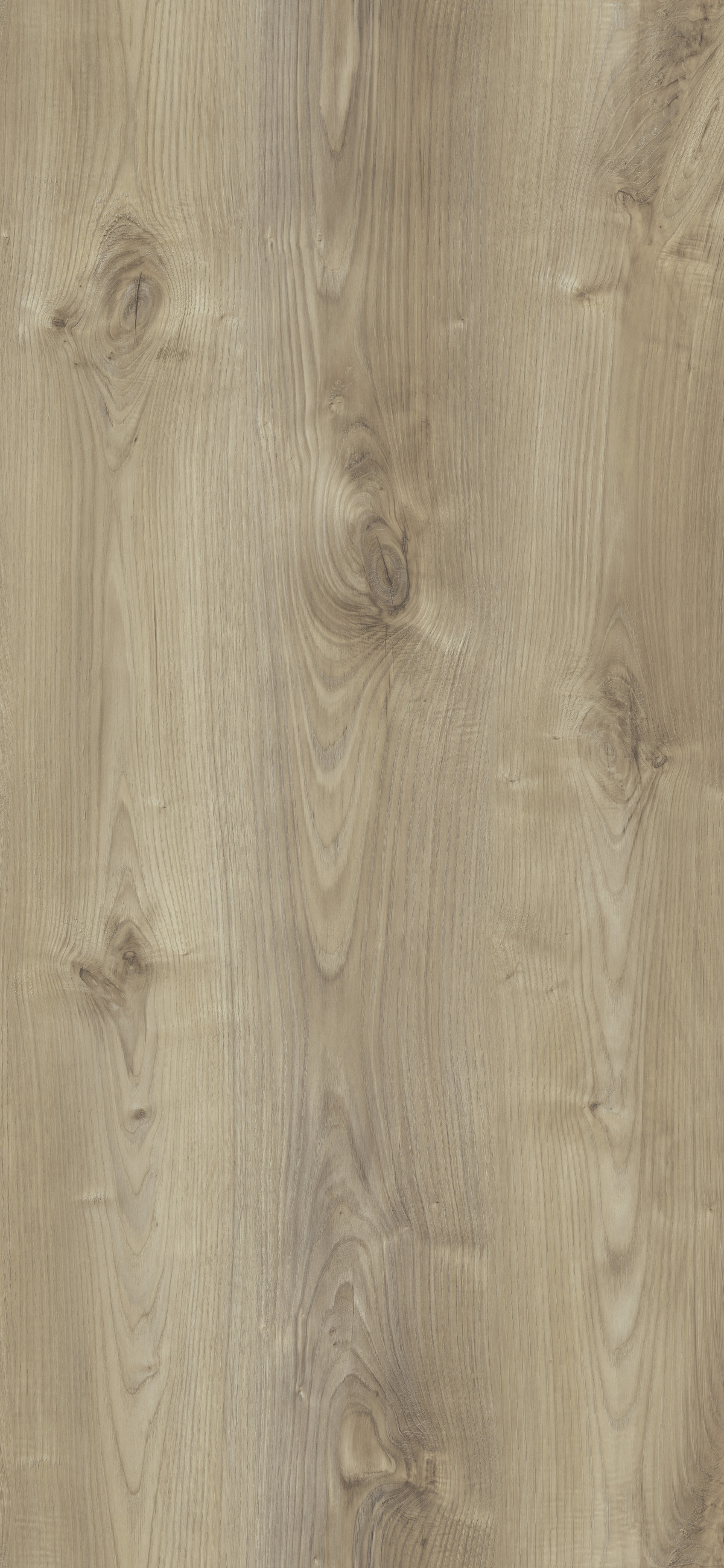 Cento Cavalli Allover - Interprint