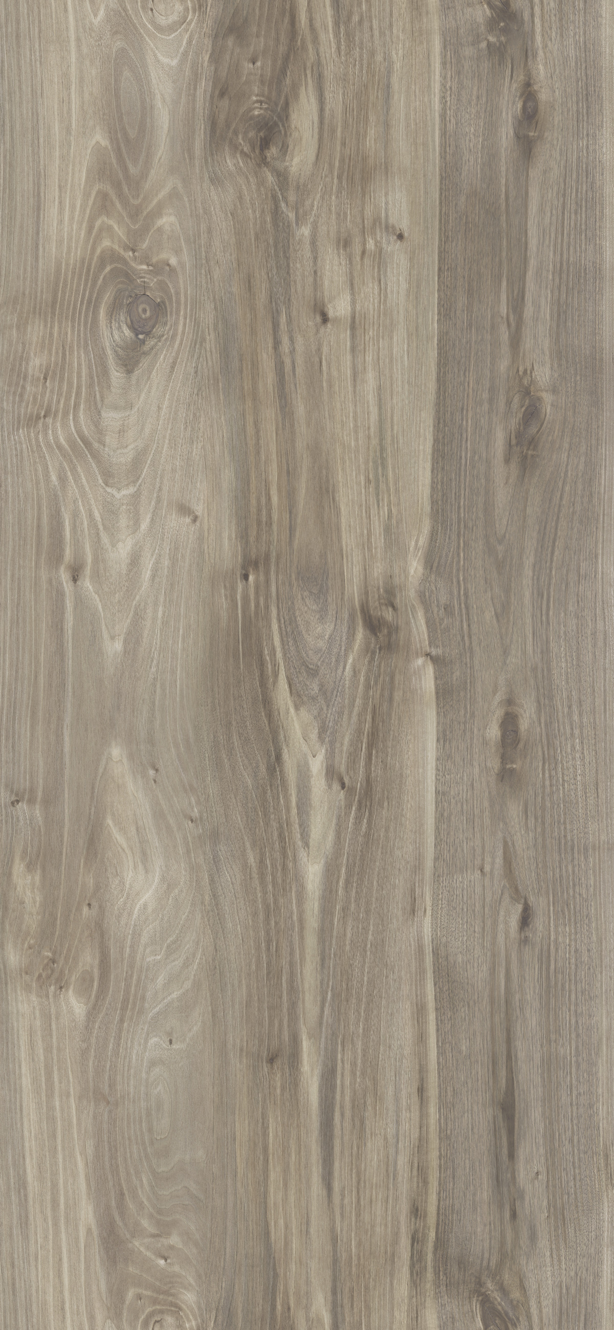 Margo Allover - Interprint