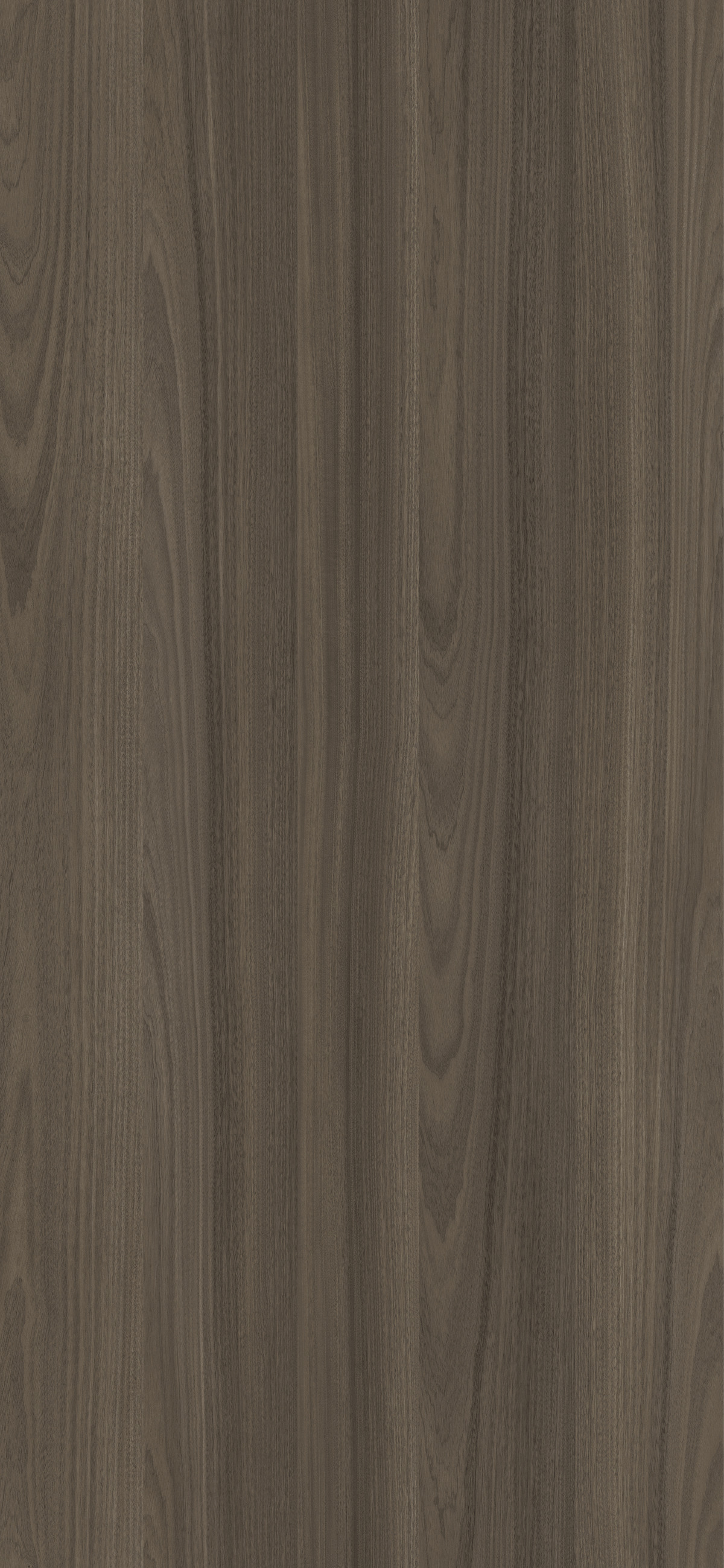 Dinelli - Interprint