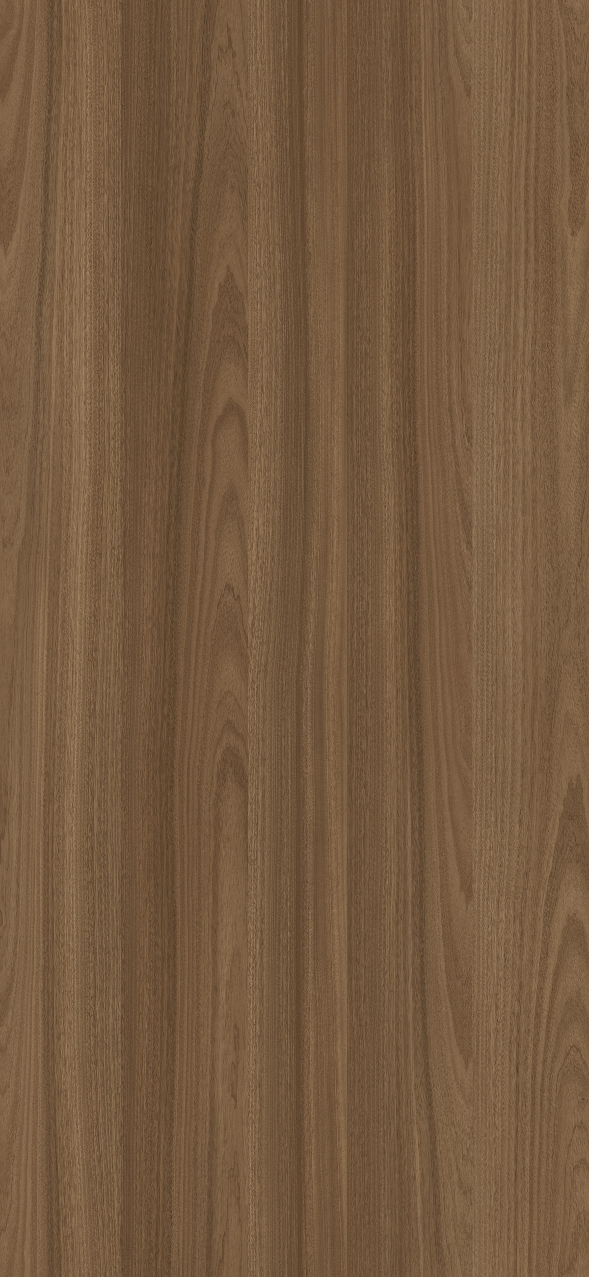 Dinelli - Interprint