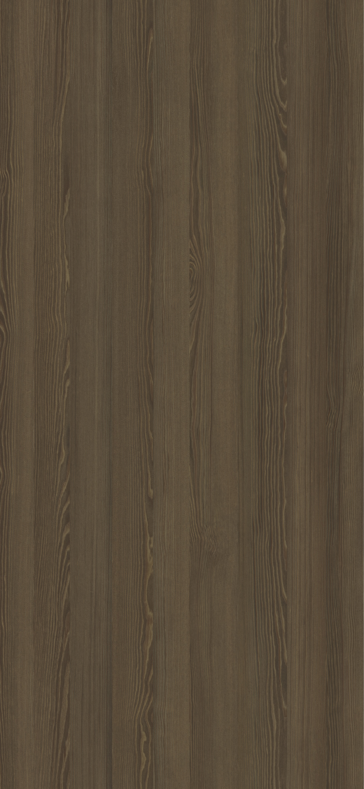 Tuson Pine - Interprint