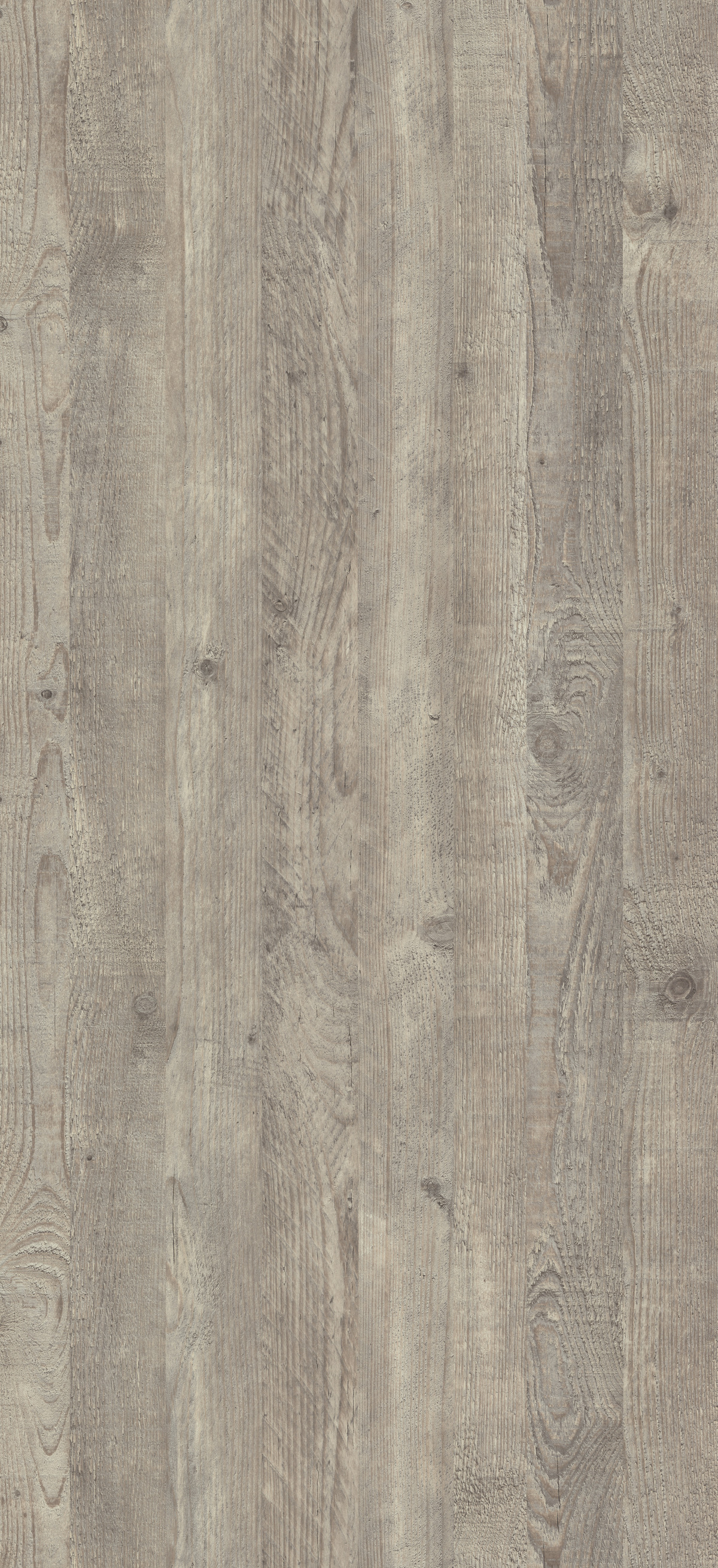 Bob´s Pine - Interprint