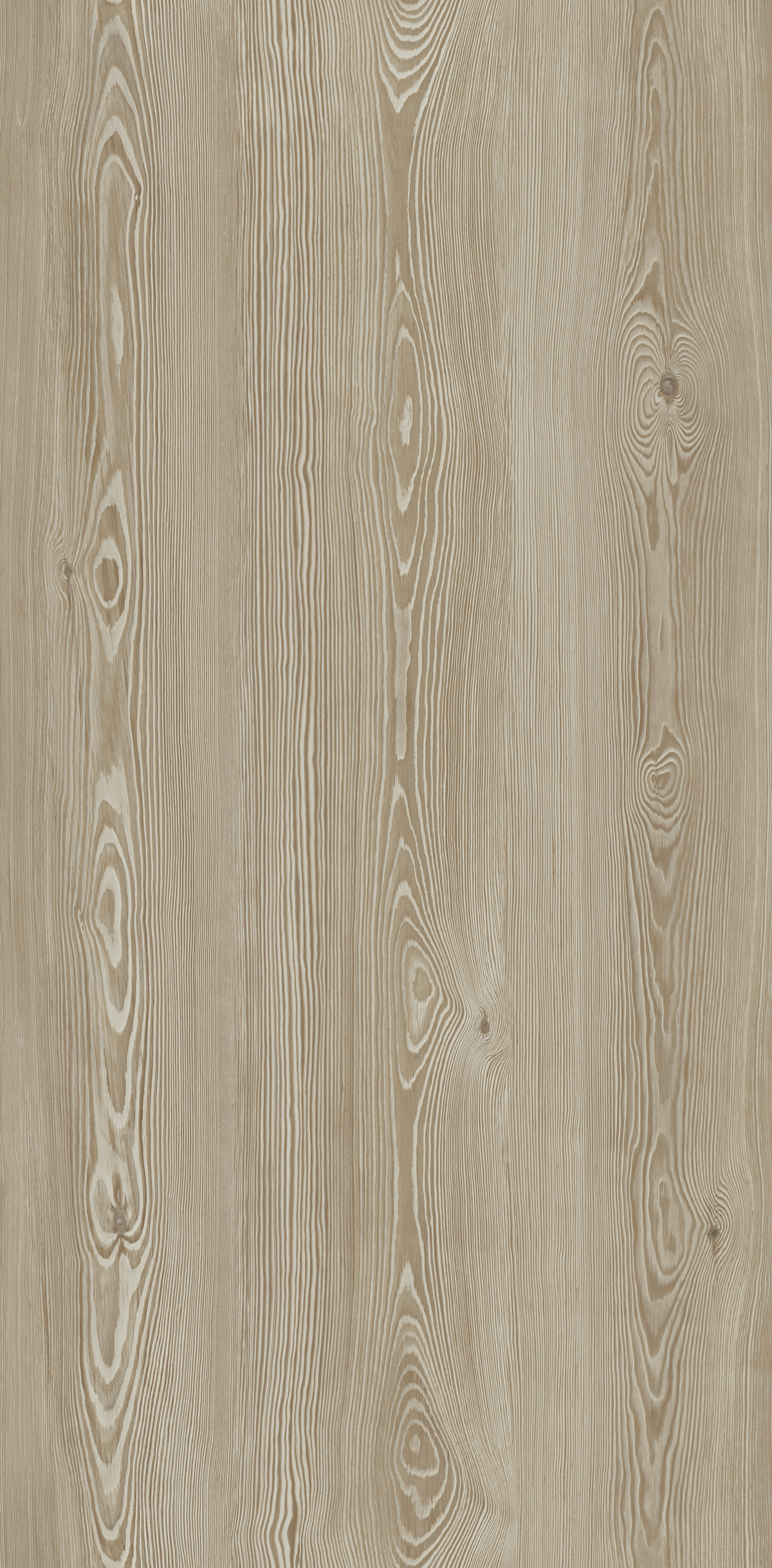 Pinus Allover - Interprint