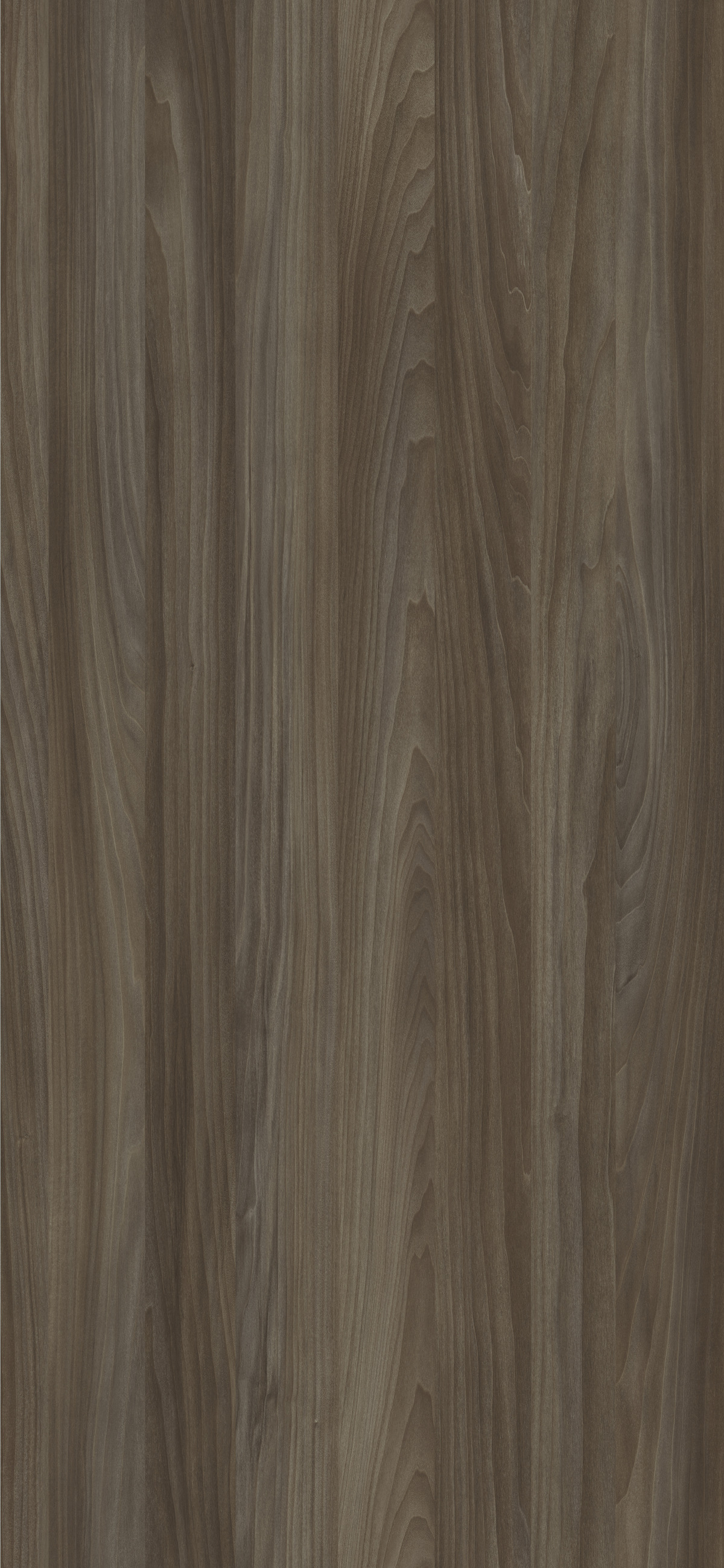 Coloured Wood - Interprint