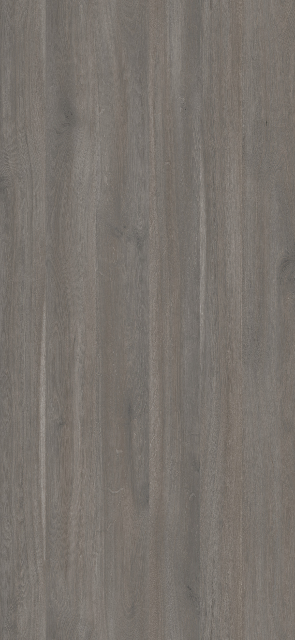 Auerbach Oak - Interprint