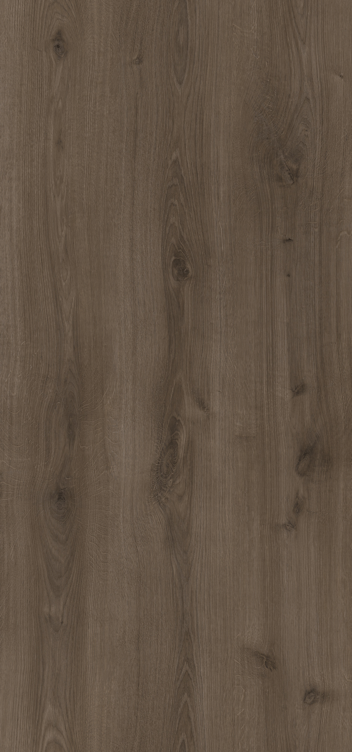 Grafschaft Oak - Interprint