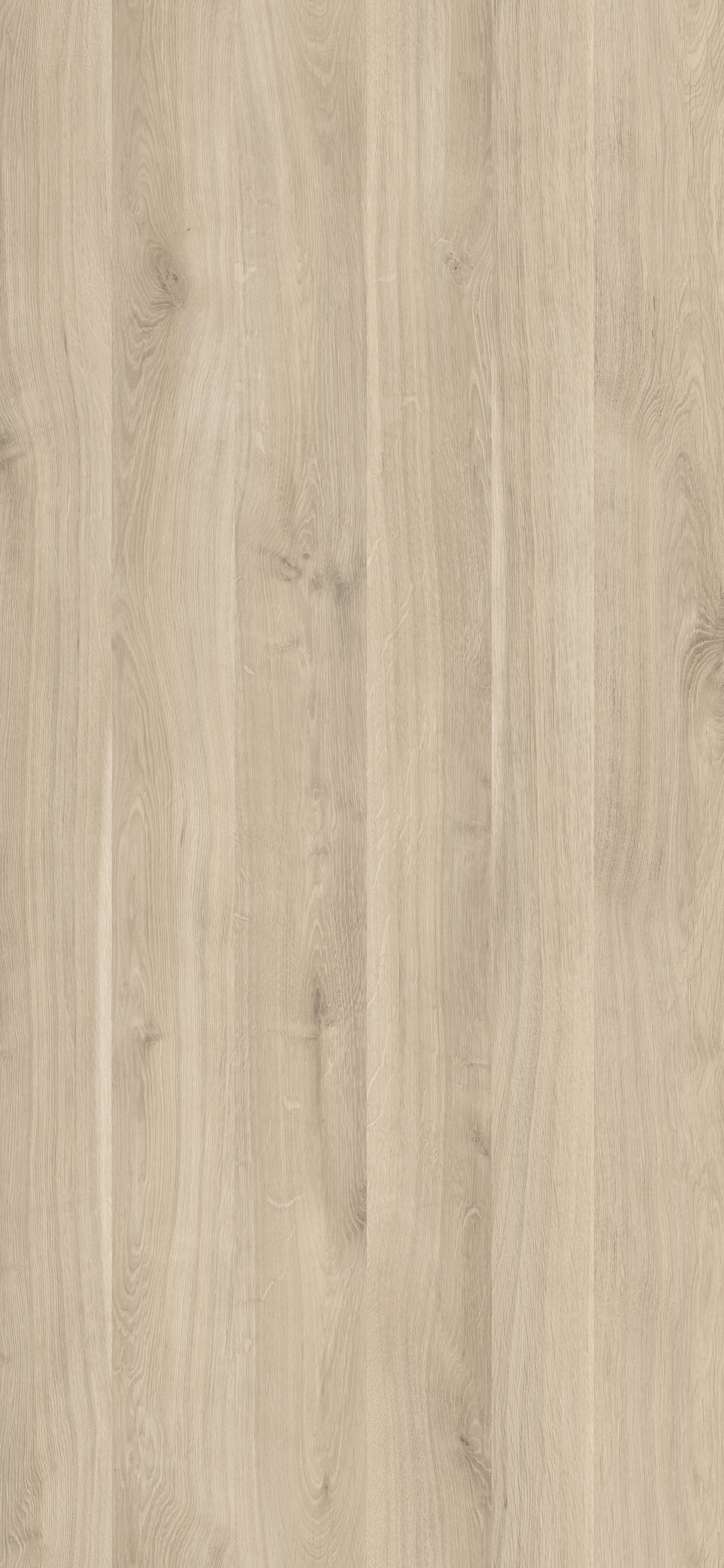 Auerbach Oak - Interprint