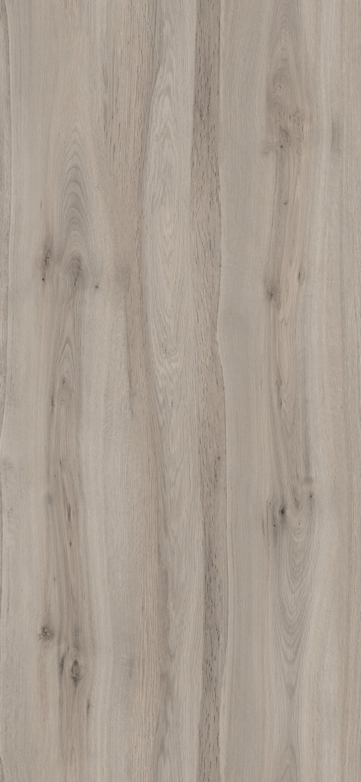 Angel Oak - Interprint