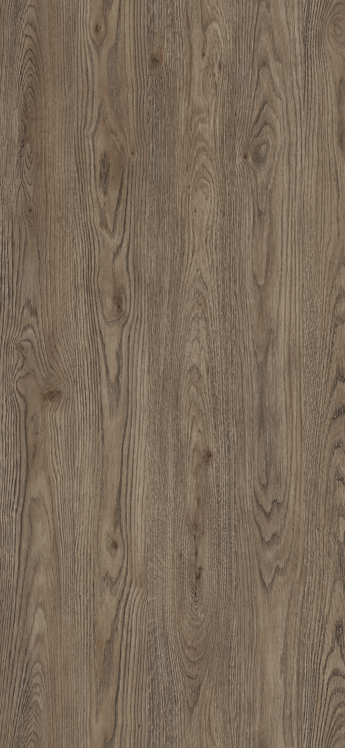 Salwa Oak - Interprint