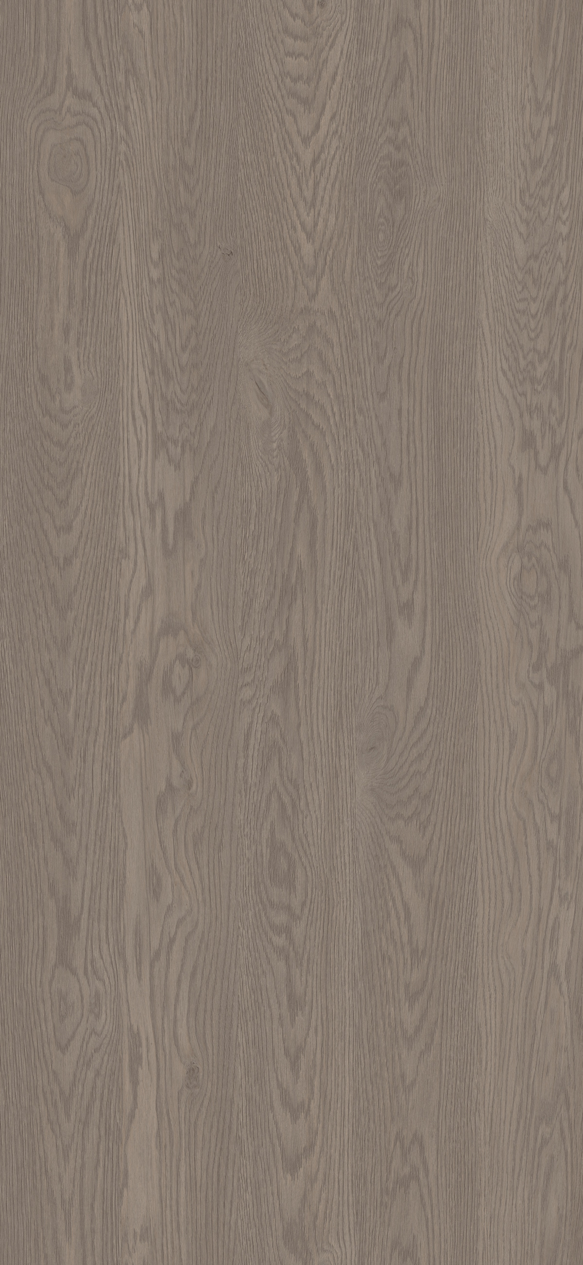 Avino Oak - Interprint
