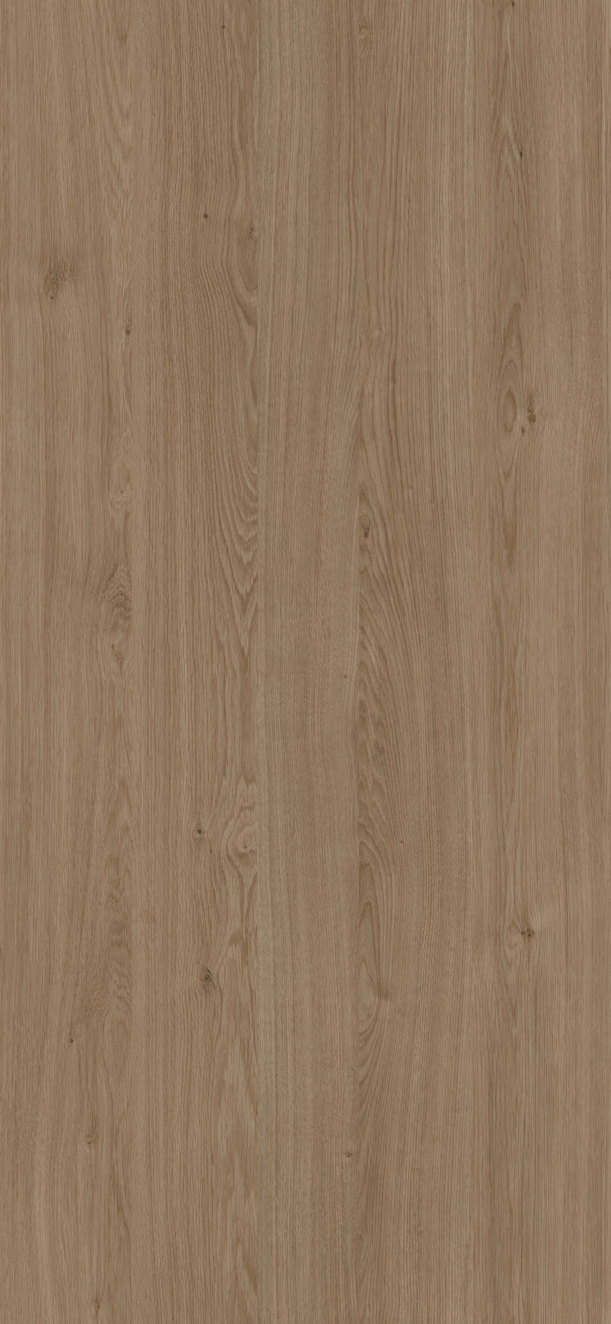 Goodwin Oak - Interprint