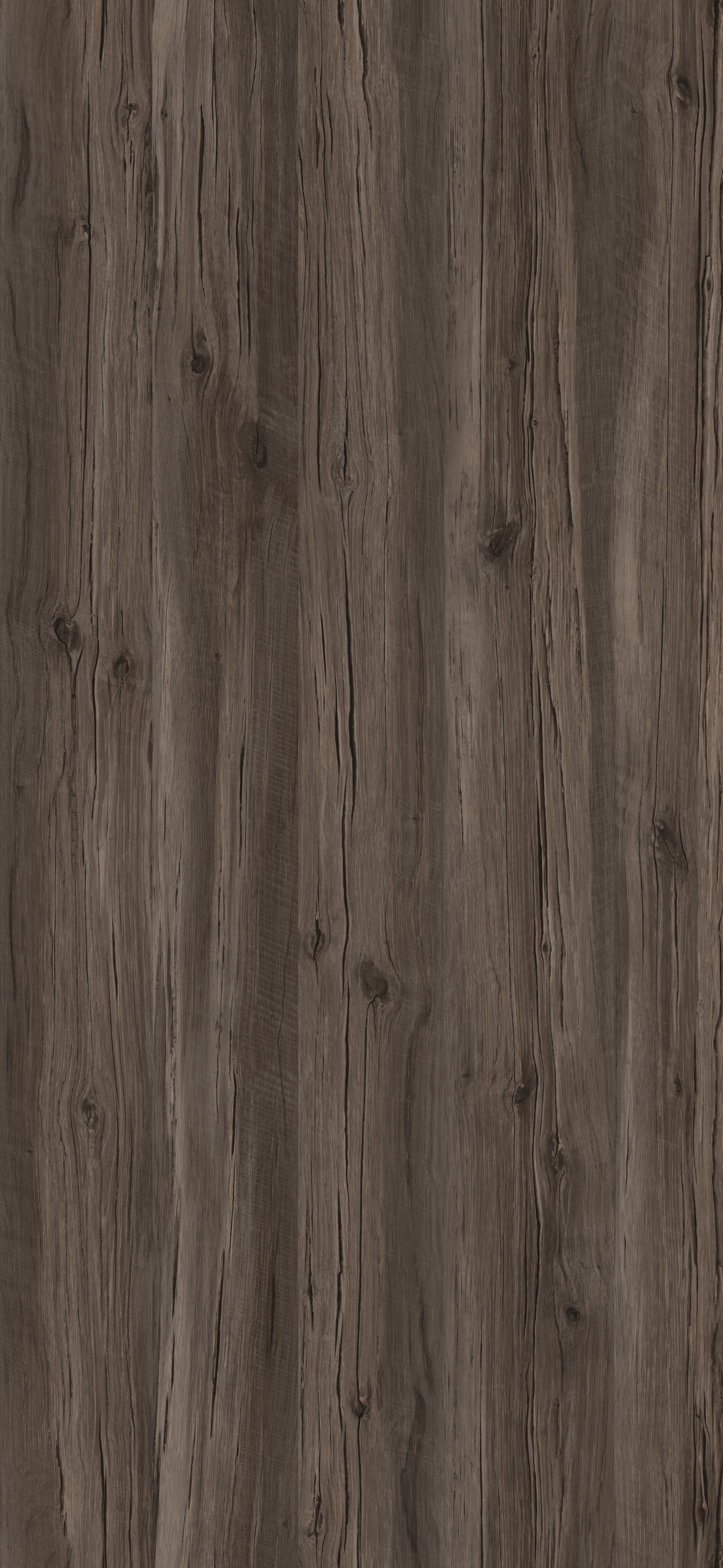 Murieta Oak - Interprint