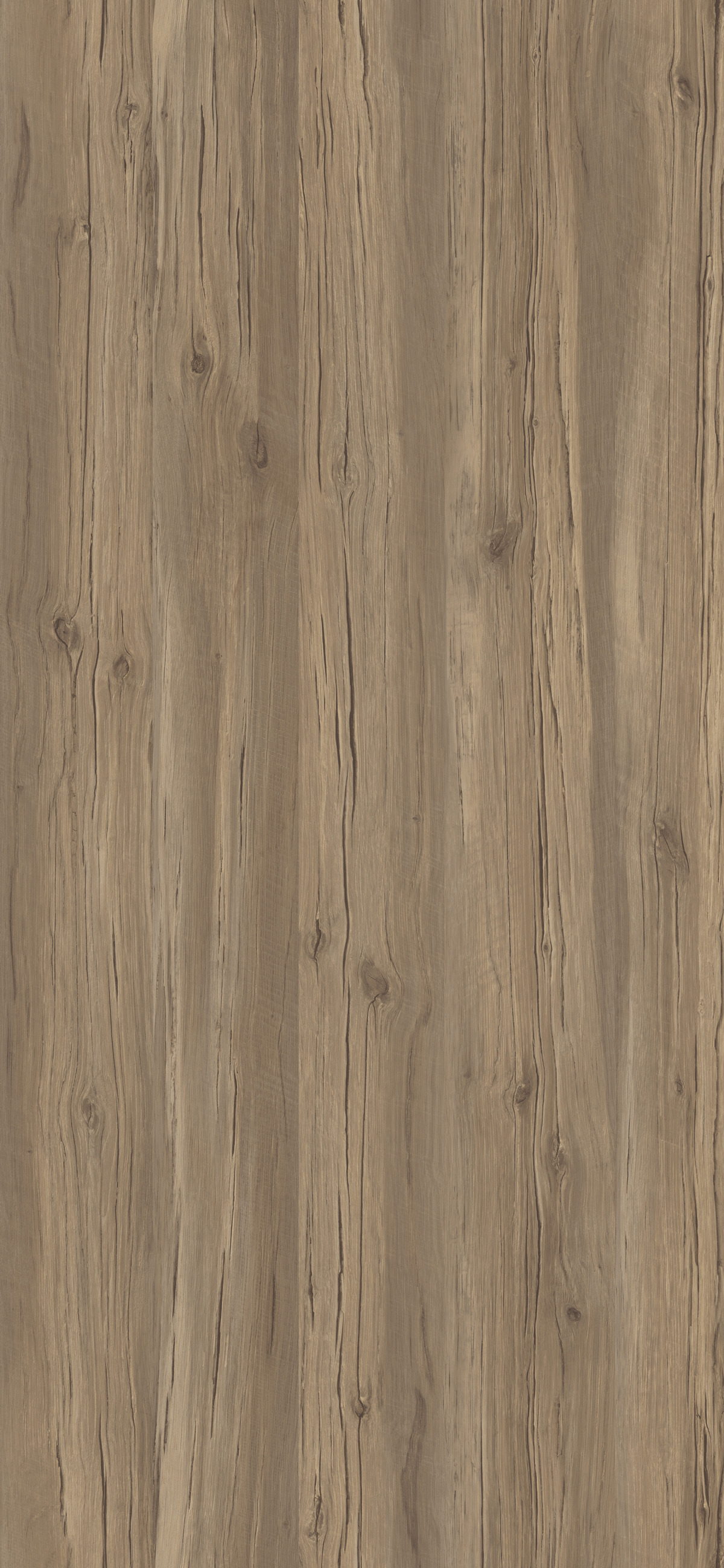 Murieta Oak - Interprint