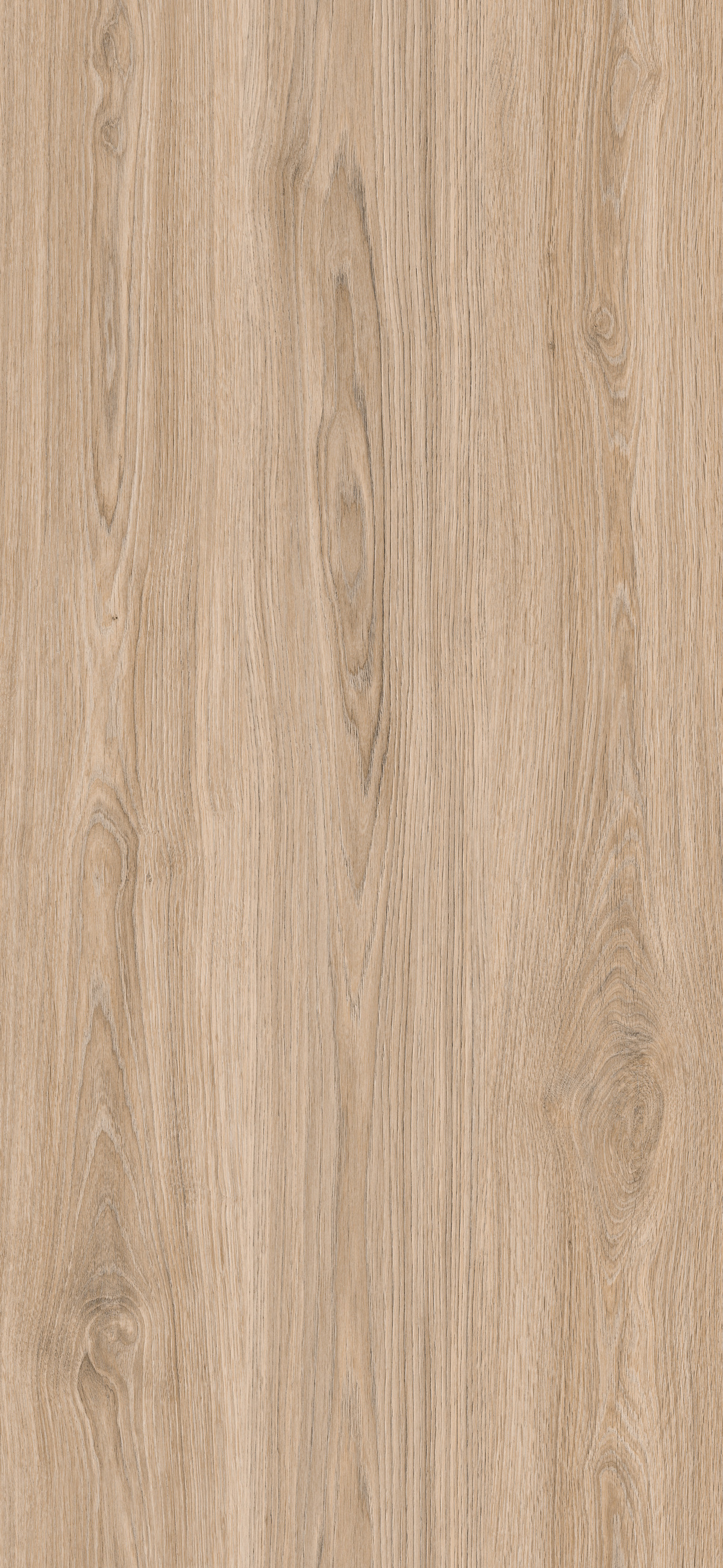 Tomorrow Oak Allover EIR - Interprint