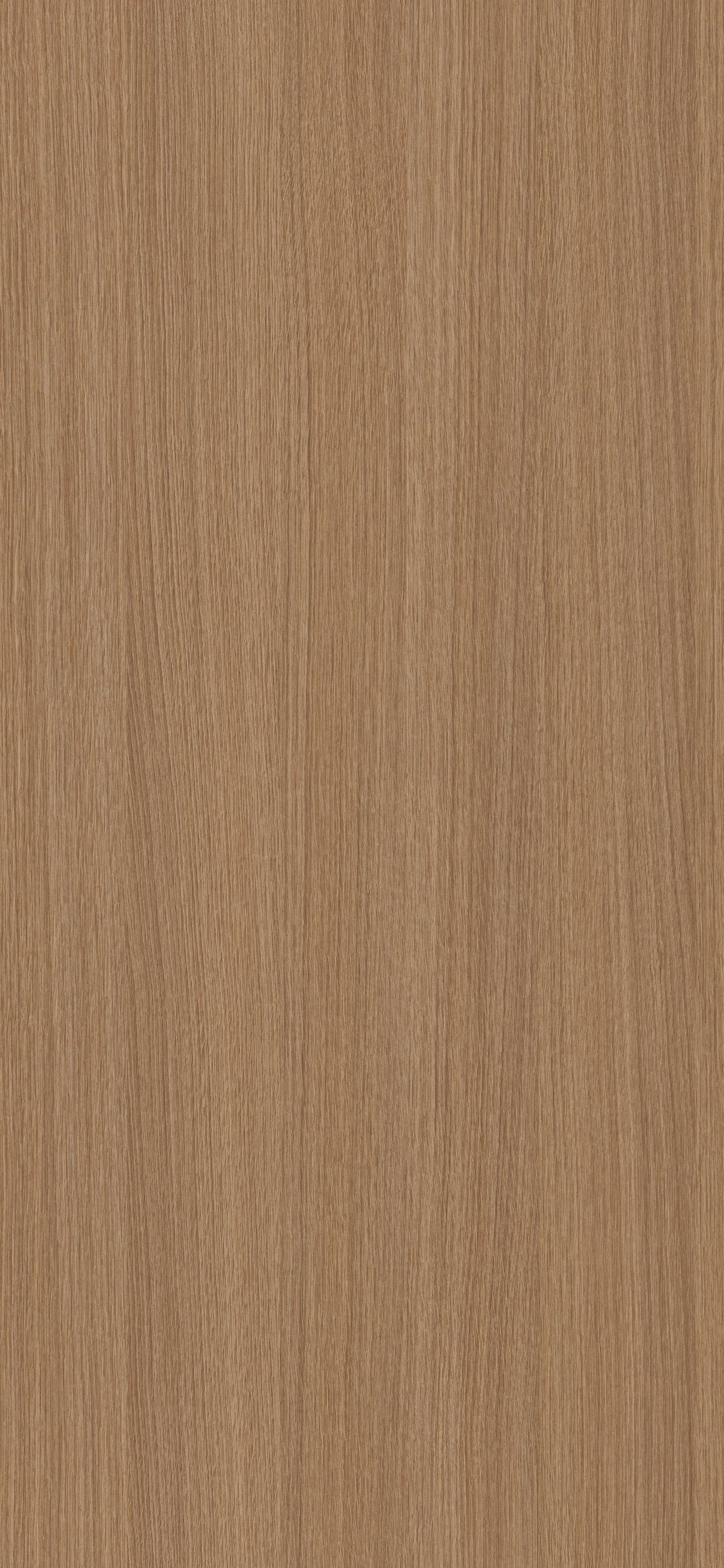 Tailor Oak - Interprint