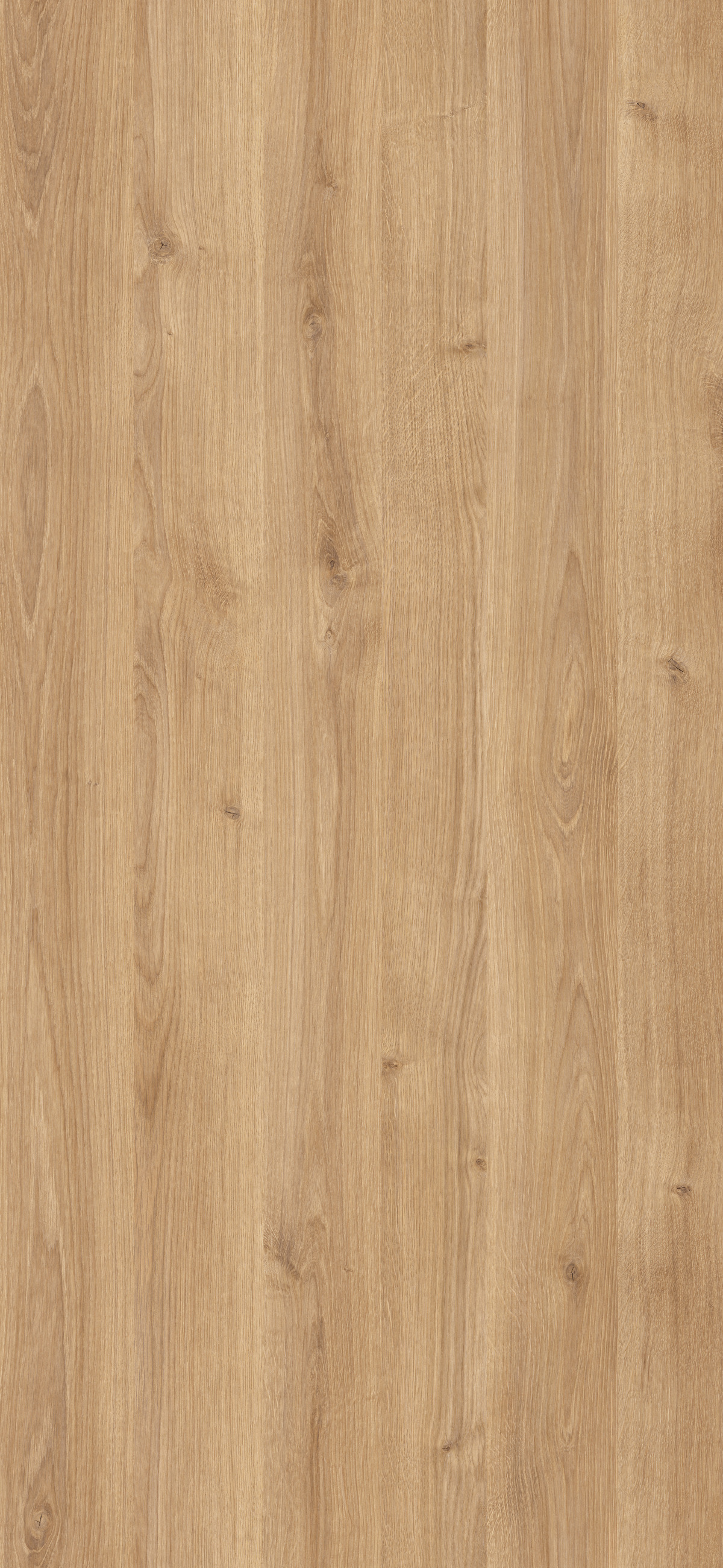 Orwill Oak - Interprint