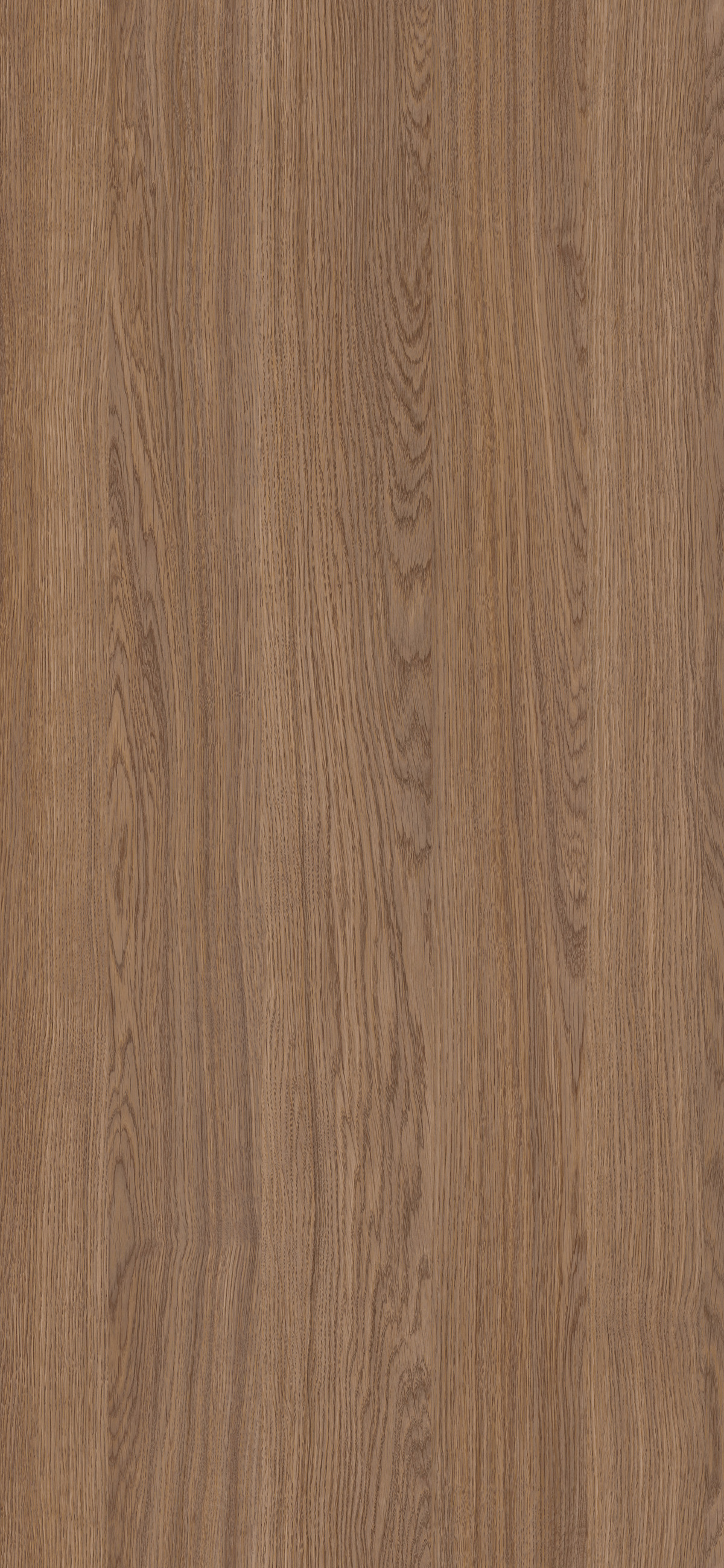 Redwine Oak - Interprint